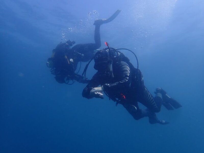 Albufeira: 2 DIVES TRIP (ONLY CERTIFIED DIVERS) - Key Points