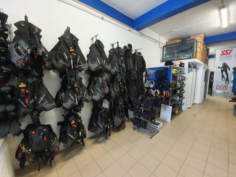 Albufeira: 2 DIVES TRIP (ONLY CERTIFIED DIVERS) - Marine Life and Underwater Features