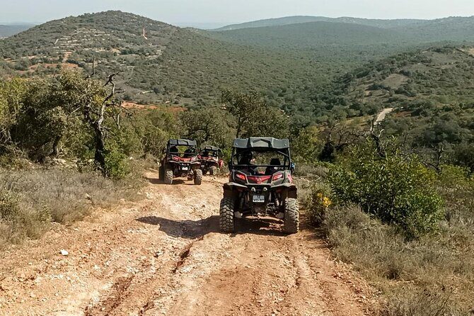 Albufeira 3 hour Off-Road Tour Buggy Adventure Tour - Practical Tips for Future Tourists