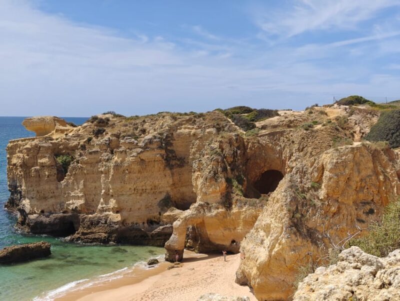 Albufeira: Albufeira Marina & west coast Tour 1.5h - Who Will Love This Tour?