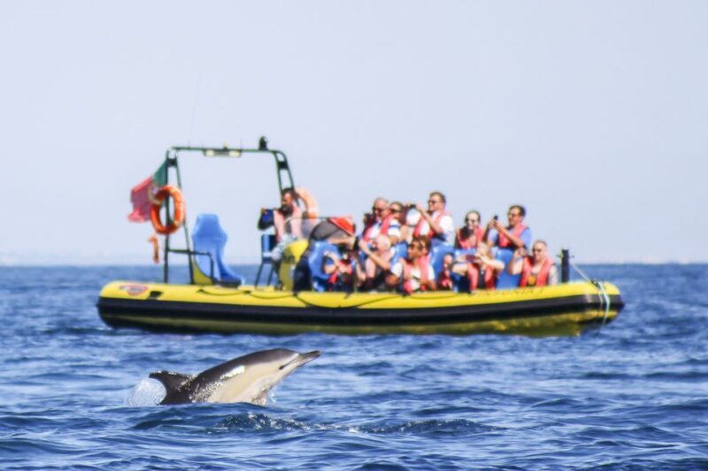 Albufeira: Benagil Caves & Dolphin Watching Speed Boat Tour - An In-Depth Review of the Algarve Speedboat Experience