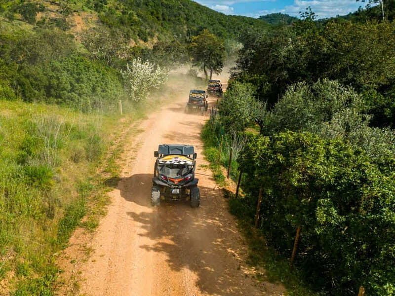 Albufeira: Buggy Adventure through the Algarve Hidden Gems - FAQs