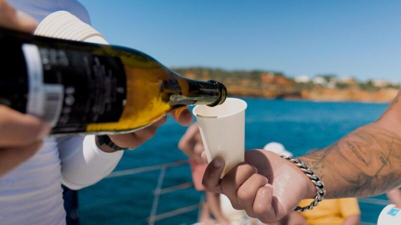 Albufeira: Caves and Coastline Catamaran Cruise to Benagil - Who Will Enjoy This Tour?