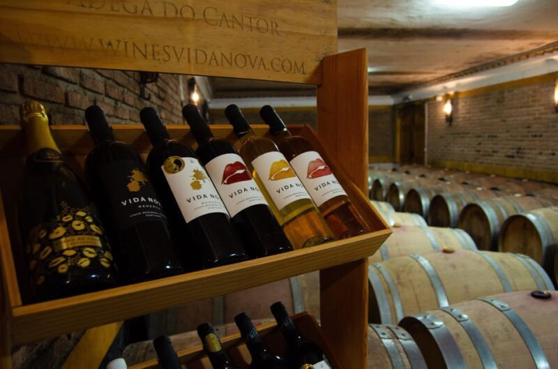 Albufeira: City Highlights & WINE TASTING - Key Points  