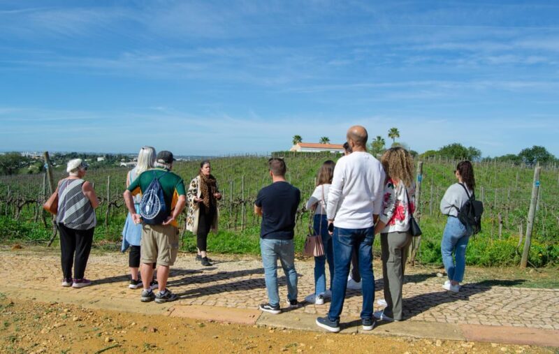 Albufeira: City Highlights & WINE TASTING - An In-Depth Look at the Tour Experience