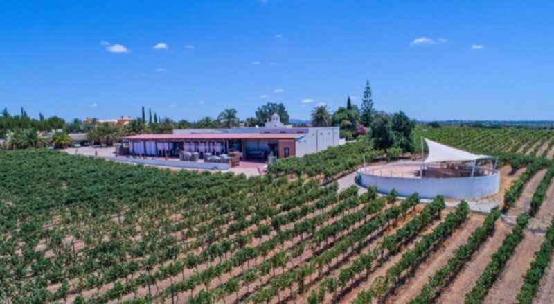 Albufeira Coast Tour, Winery & Delicious Chicken lunch - A Complete Guide to the Albufeira Coast, Winery & Piri Piri Chicken Tour