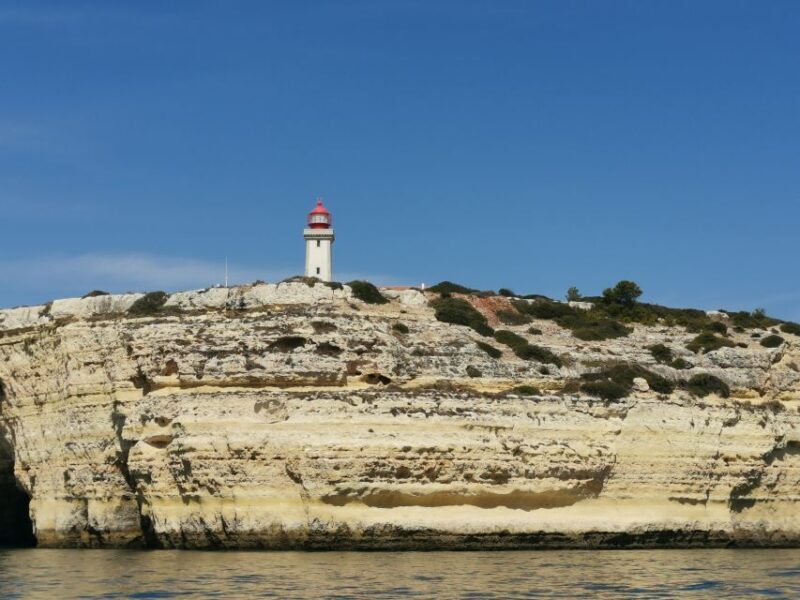 Albufeira: Coastline and Benagil Caves Tour by Catamaran - The Experience of the Guides