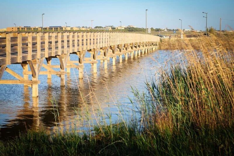 Albufeira: E-Bike tour of Nature Trails and Tradition - A Closer Look at the Experience