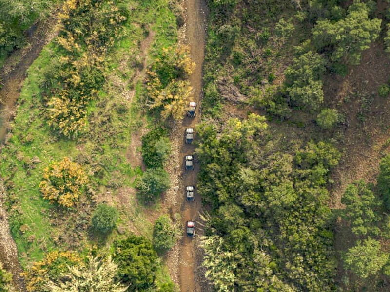 Albufeira: Full-Day Buggy Tour with Lunch - Who Should Consider This Tour?