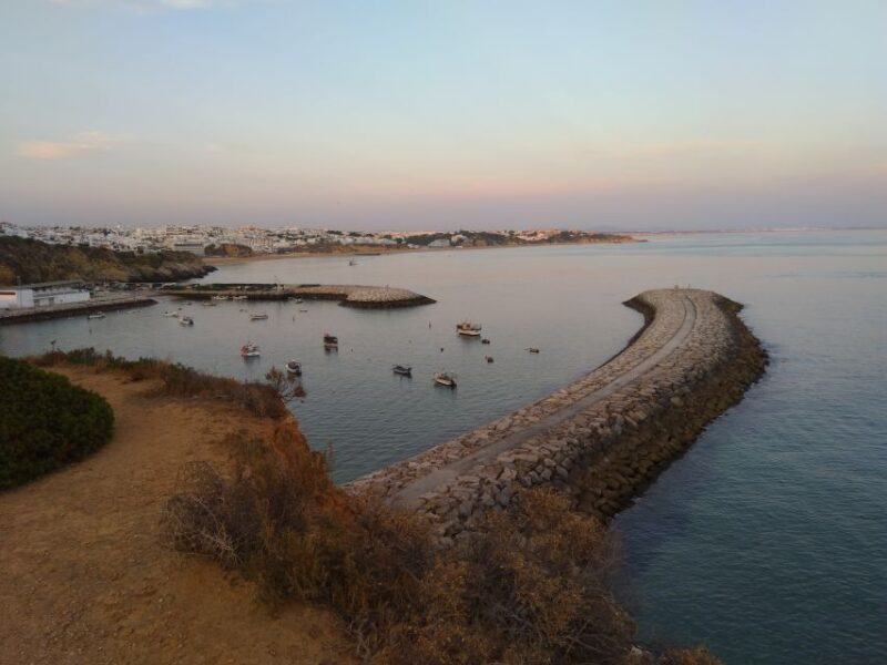 Albufeira: Guided Tour by Tuk-Tuk - Who Should Consider This Tour?