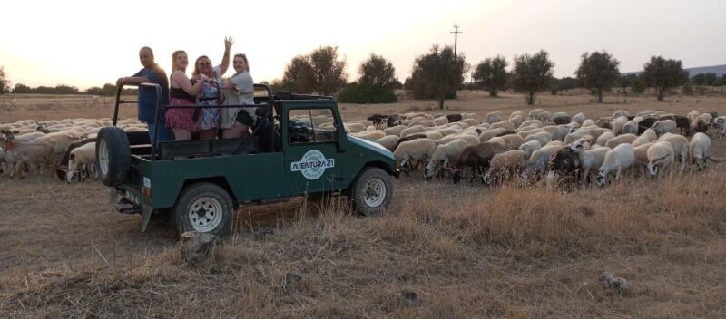 Albufeira: Jeep Safari Half-Day Countryside Tour - Key Points