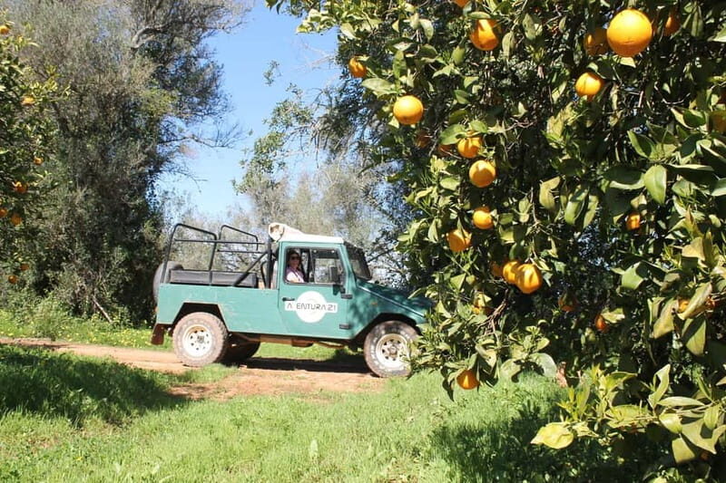 Albufeira Jeep Safari with Zoo - Zoo Visit and Animal Encounters