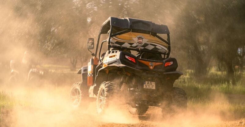 Albufeira: Off-Road Buggy Adventure - Who Will Love This Experience?