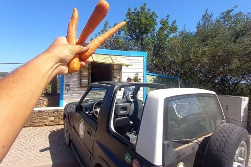 Albufeira Safari exploring villages, churches, castle & farm - Final Thoughts