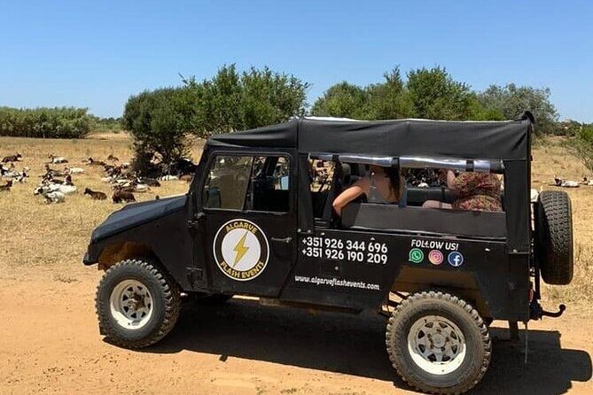 Albufeira Safari w/ Krazy World Visit, Bones & Animals - Discovering Albufeira’s Hidden Corners