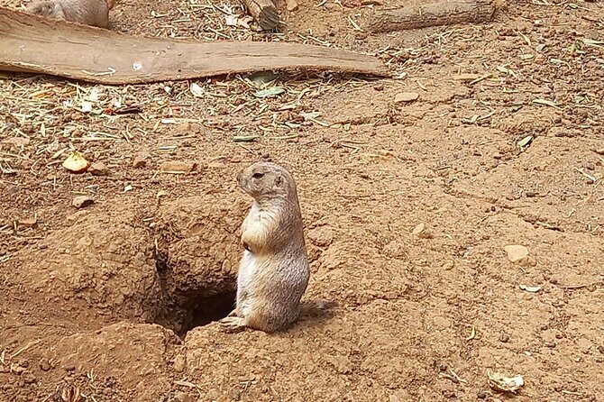 Albufeira Safari w/ Krazy World Visit, Bones & Animals - The Scenic and Historical Stops