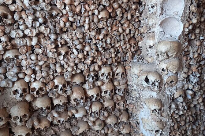 Albufeira Safari w/ Krazy World Visit, Bones & Animals - The Experience and the Guides