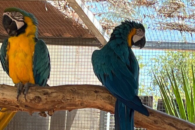 Albufeira Safari w/ Krazy World Visit, Bones & Animals - The Sum Up