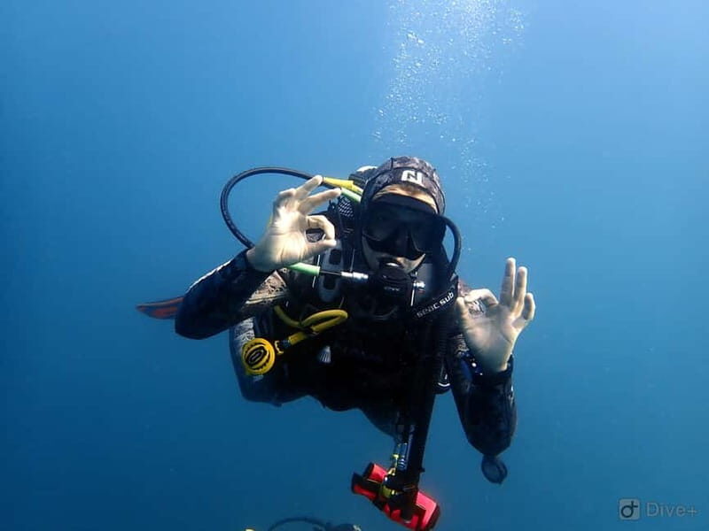 Albufeira: Scuba Diving Experience for Beginners - Who Is This Tour Best For?