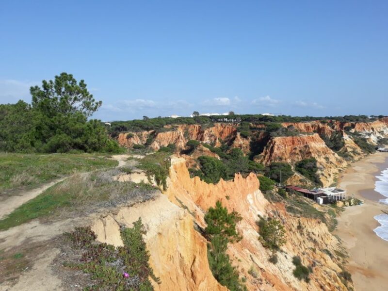 Albufeira: Tuk-tuk Sightseeing Tour - What Travelers Say