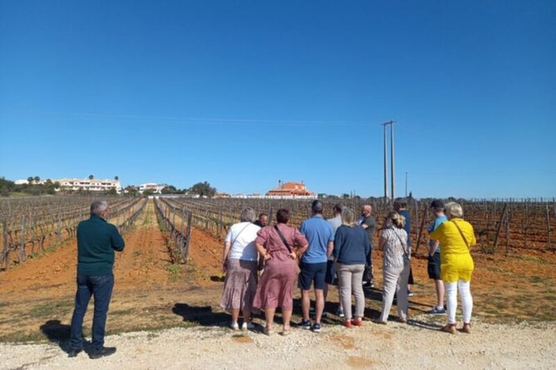 Albufeira/Vilamoura: Winery Tour with Wine Tasting and Tapas - Final Thoughts