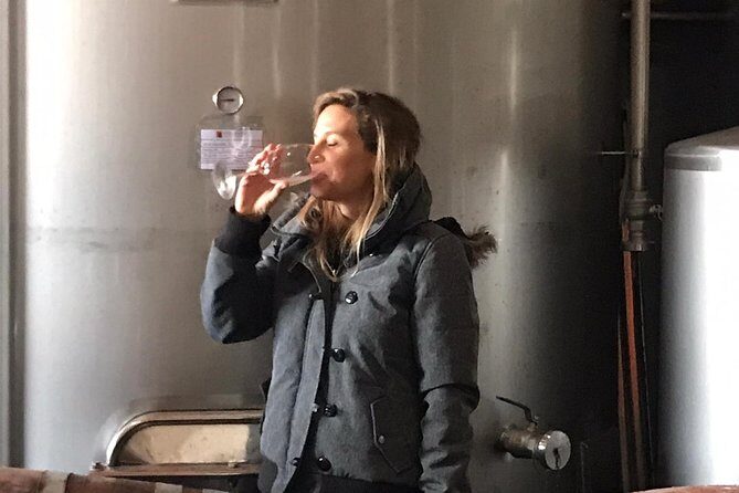 Albufeira Wine Tasting: Boutique Winery Tour & Historic Silves - Practical Details and Value