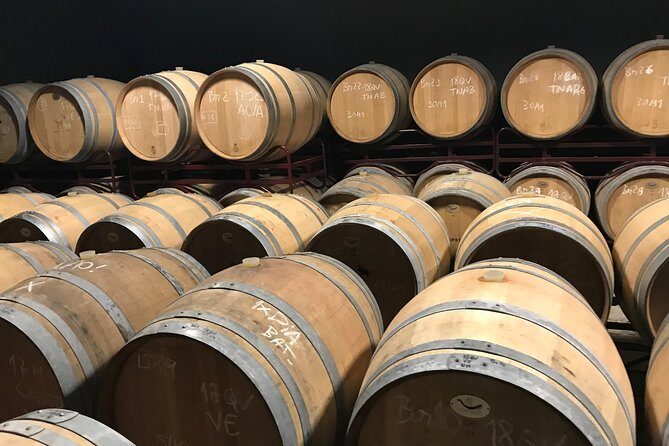 Albufeira Wine Tour: 2 Vineyards, 6 Tastings & Historic Silves - Authenticity and Overall Value