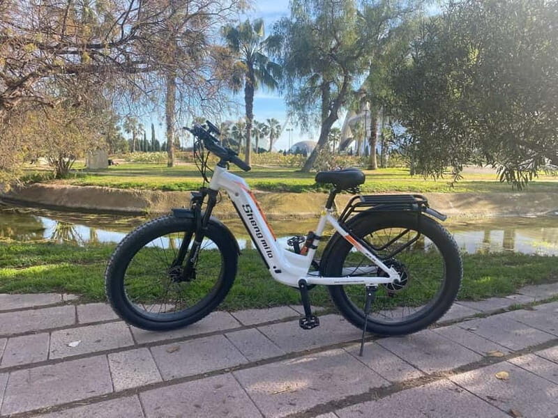 Albufera Bike Adventure: Wetlands, Beaches & Biodiversity - Key Points