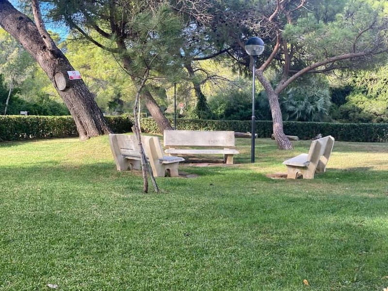 Albufera Bike Adventure: Wetlands, Beaches & Biodiversity - FAQ: Everything You Need to Know