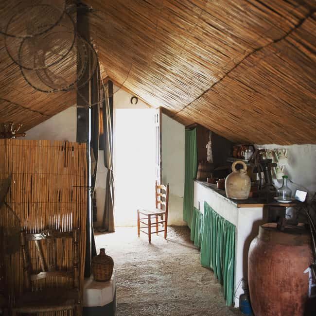 Albufera de Valencia: boat ride and visit to a barraca - Key Points