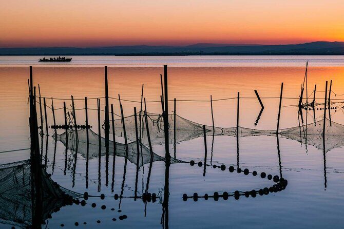 Albufera Natural Park with Sunset Boat Tour from Valencia - Frequently Asked Questions