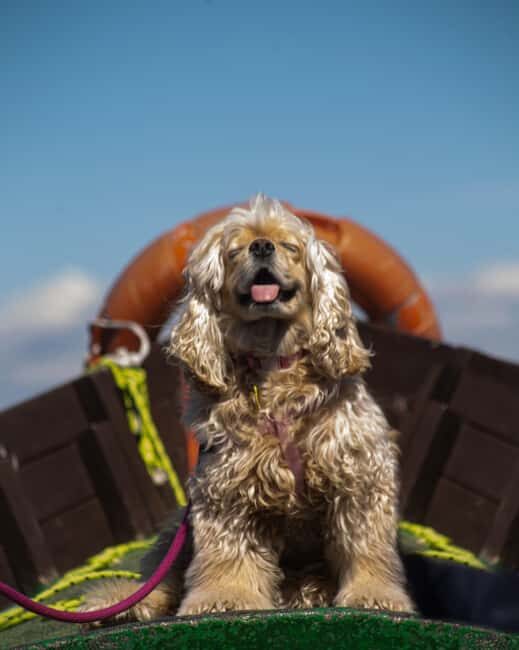 Albufera: Sunset and visit to the barraca - Discovering the Charm of Albufera