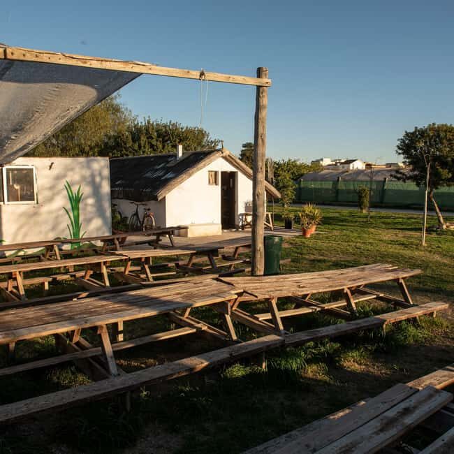 Albufera: Sunset and visit to the barraca - Why This Tour Offers Real Value