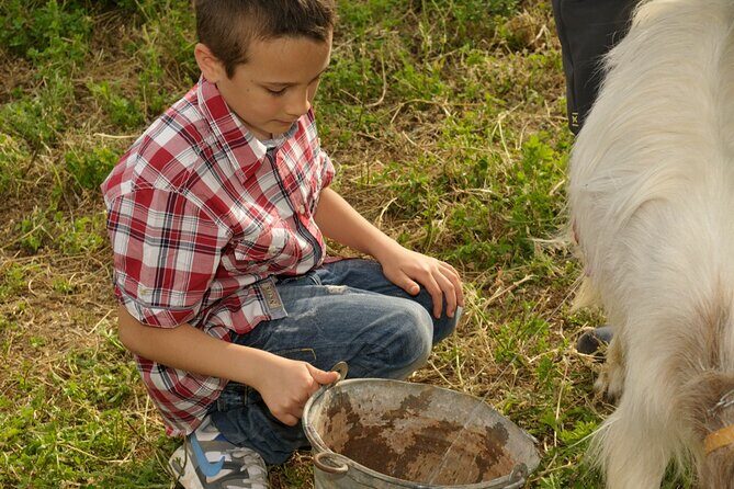 Alcamo Farm Animals and Aromatic Garden - The Sum Up