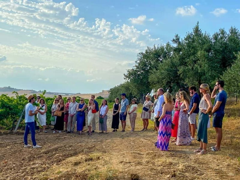 Alcamo: Natural Wine & Olive Oil Tasting - Sicily - An Authentic Taste of Sicily: What You Can Expect