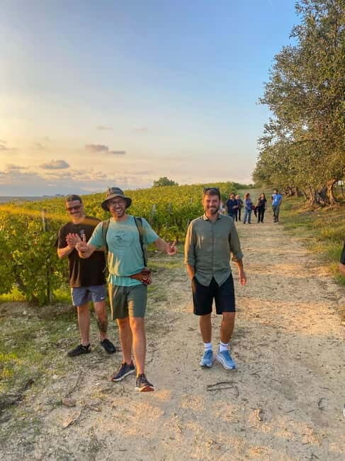 Alcamo: Natural Wine & Olive Oil Tasting - Sicily - Who Will Love This Tour?