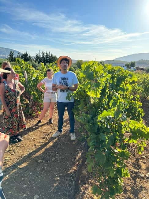 Alcamo: Natural Wine & Olive Oil Tasting - Sicily - Final Thoughts