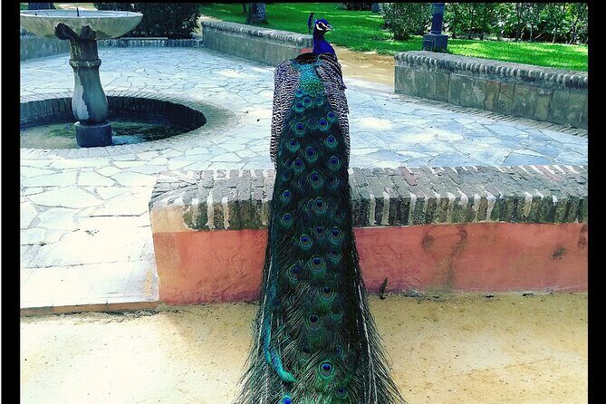 Alcazar and Cathedral of Seville Private Tour - Additional Practicalities