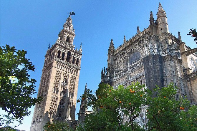 Alcazar, Cathedral and Giralda of Seville with entrance fee included - An In-Depth Look at the Tour Experience