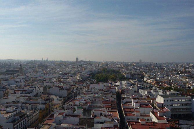 Alcázar tour and roof tour - Authentic Experiences Gleaned from Reviews