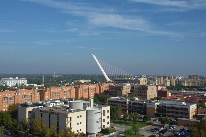 Alcázar tour and roof tour - Who Will Love This Tour?
