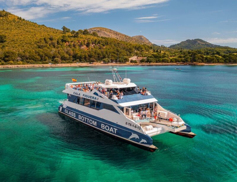 Alcudia: Boat Trip to Coll Baix - What Travelers Can Expect from the Experience