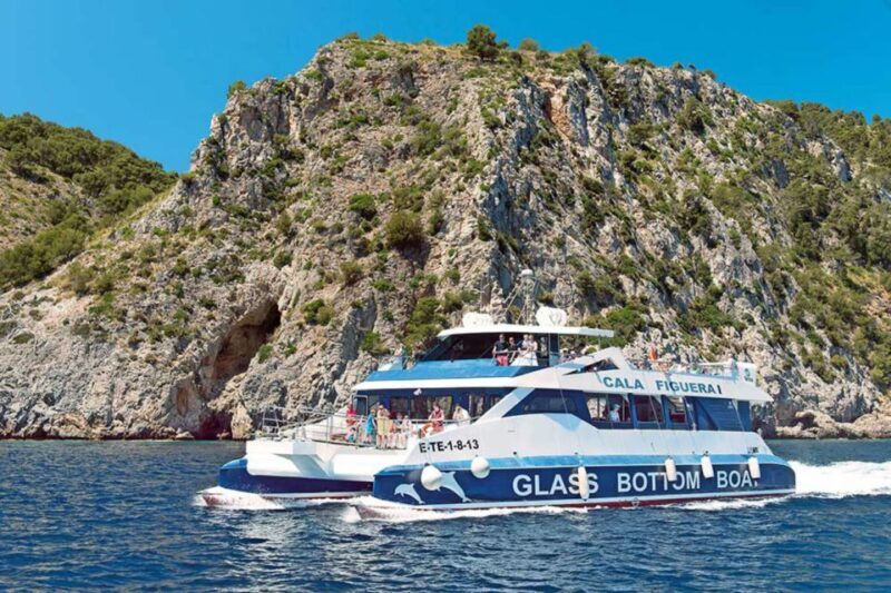 Alcudia: Boat Trip to Coll Baix - Authentic Insights from the Reviews