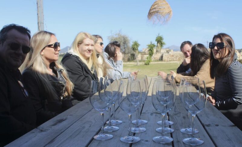 Alcúdia/Can Picafort: Guided Vineyard Visit and Wine Tasting - Value for Money and Final Thoughts