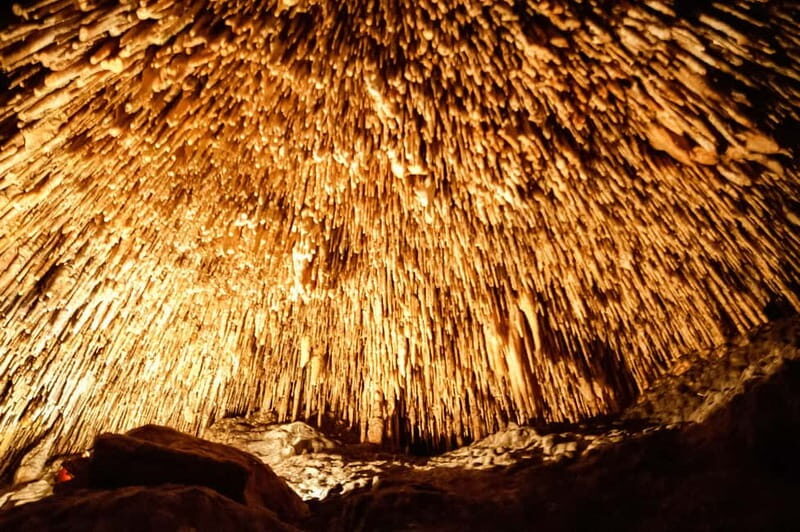 Alcudia: Caves of Drach Tour from the North with Boat Trip - What to Expect from the Tour