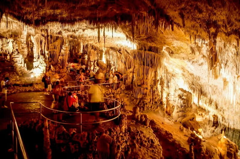 Alcudia: Caves of Drach Tour from the North with Boat Trip - Who Will Love This Tour?