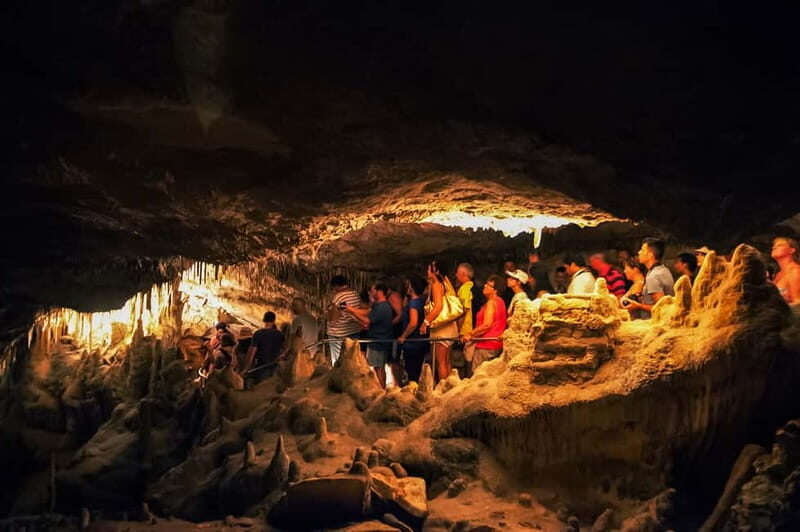 Alcudia: Caves of Drach Tour from the North with Boat Trip - Final Thoughts