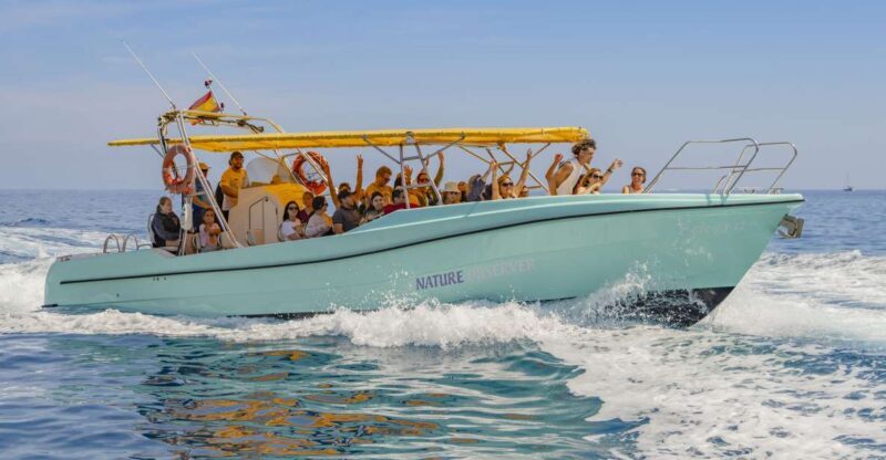 Alcudia: Coll Baix Beach & Sea Caves Cruise with Snorkeling - Practical Aspects: What You Need to Know