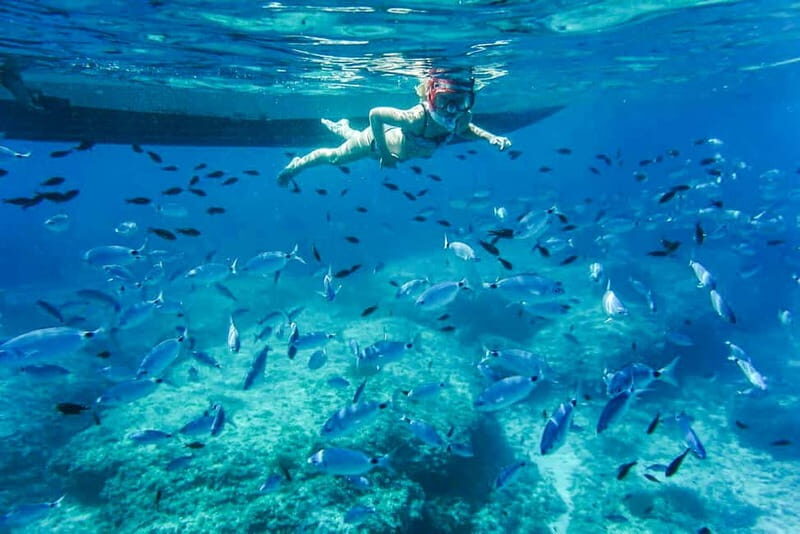 Alcudia: Formentor Beach, Lighthouse Cruise, and Small Group - Introduction