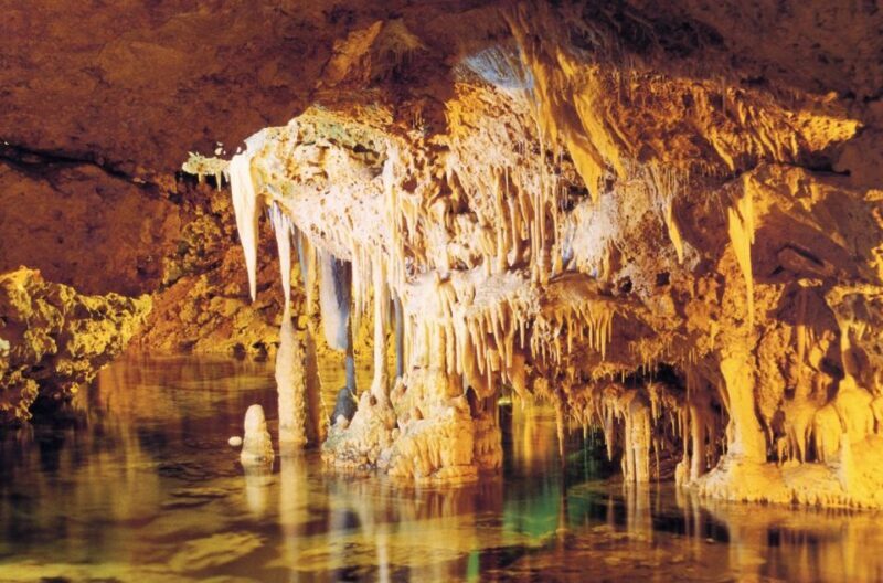 Alcudia: Half-day Caves of Hams, Blue Caves and documentary - Who Is This Tour Best For?